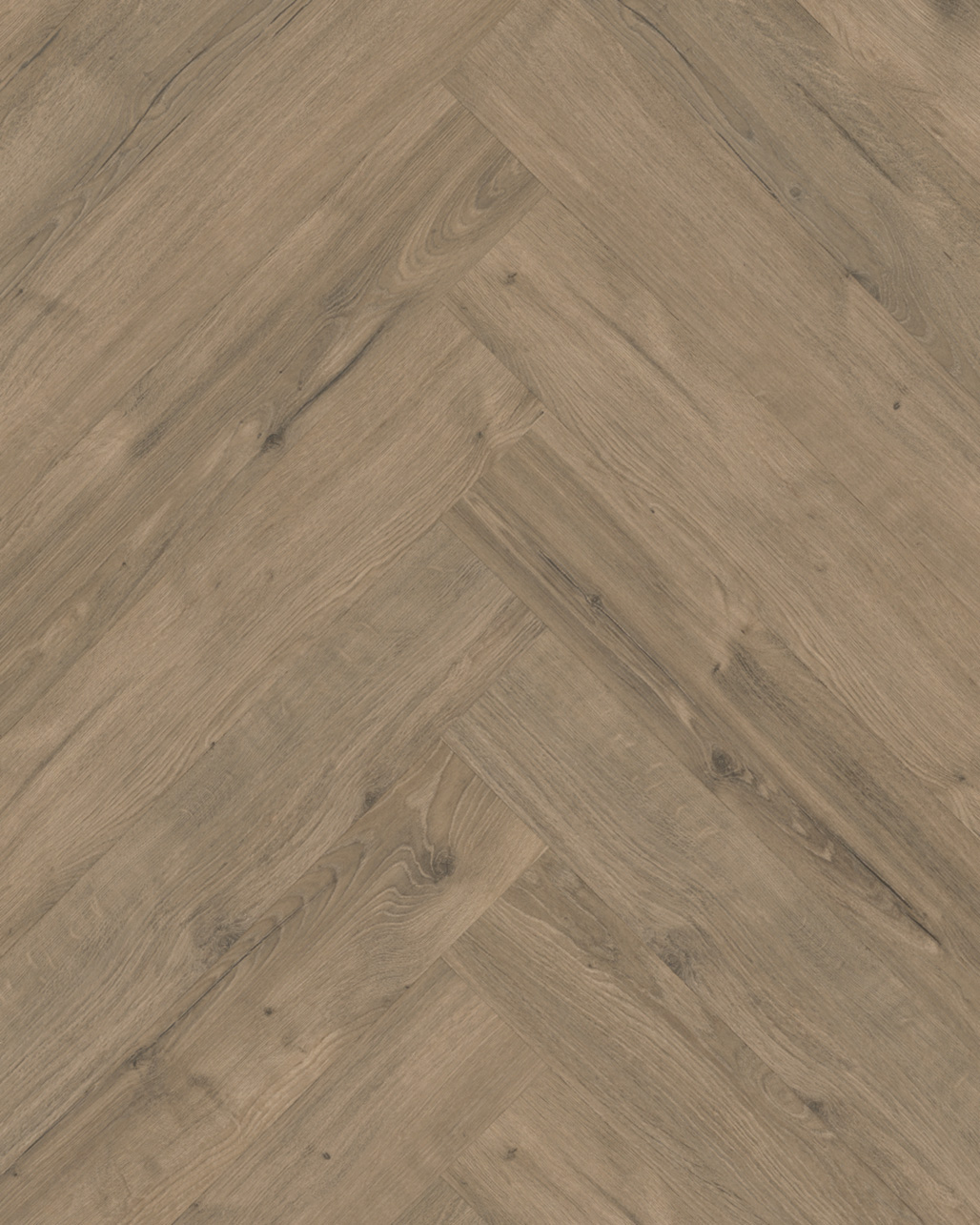 Classen Manor Blois Visgraat 62704 kopen? | Luxury Floors